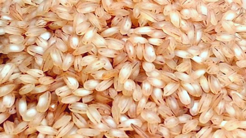 ದಕ್ಷಿಣ ಕನ್ನಡ- ಉಡುಪಿ ಜನರಿಗೆ ಸಿಹಿ ಸುದ್ದಿ: ಇನ್ನು ಮುಂದೆ ರೇಶನ್ ಮೂಲಕ ಕೆಂಪು ...