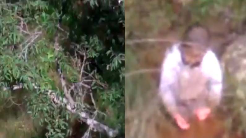 Viral News Toddler 3 years boy survives 3 days in forest watch video ...