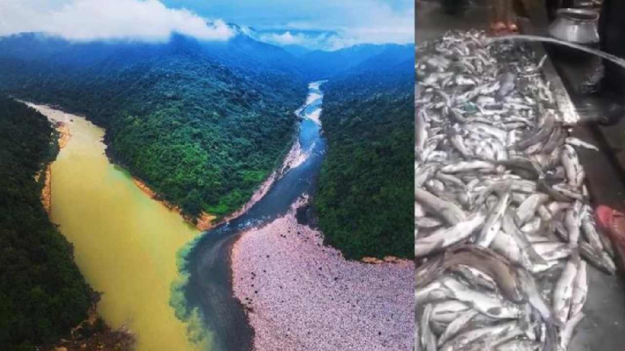 Arunachal Pradesh Kameng River Turns Mysteriously Black Thousands of ...
