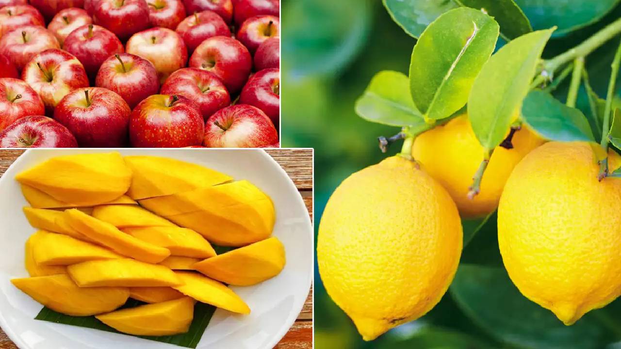 ನಿಂಬೆಹಣ್ಣು ಸಿಟ್ರಸ್ ಅಂಶವನ್ನು ಹೊಂದಿರುವ ಹಣ್ಣು ಇದಾಗಿದ್ದು, ವಿಟಮಿನ್ ಸಿ ಮತ್ತು ...