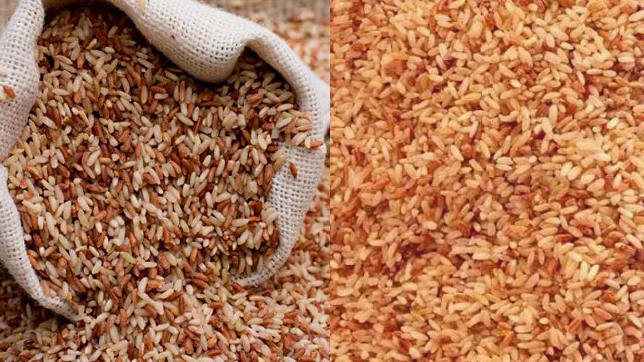 Kempakki or red rice or Rajamudi Rice and its health benefits in ...