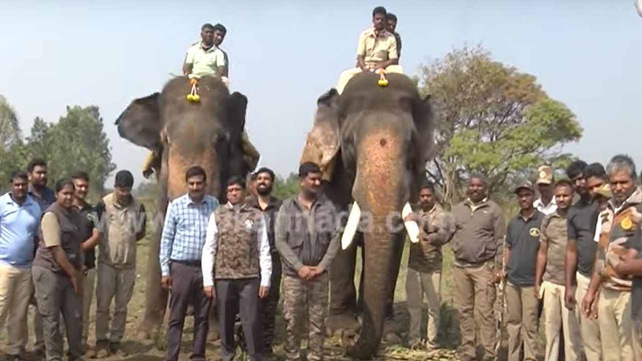 Bhima and Arjun arrive in Chikmagalur to drive away wild elephants ...