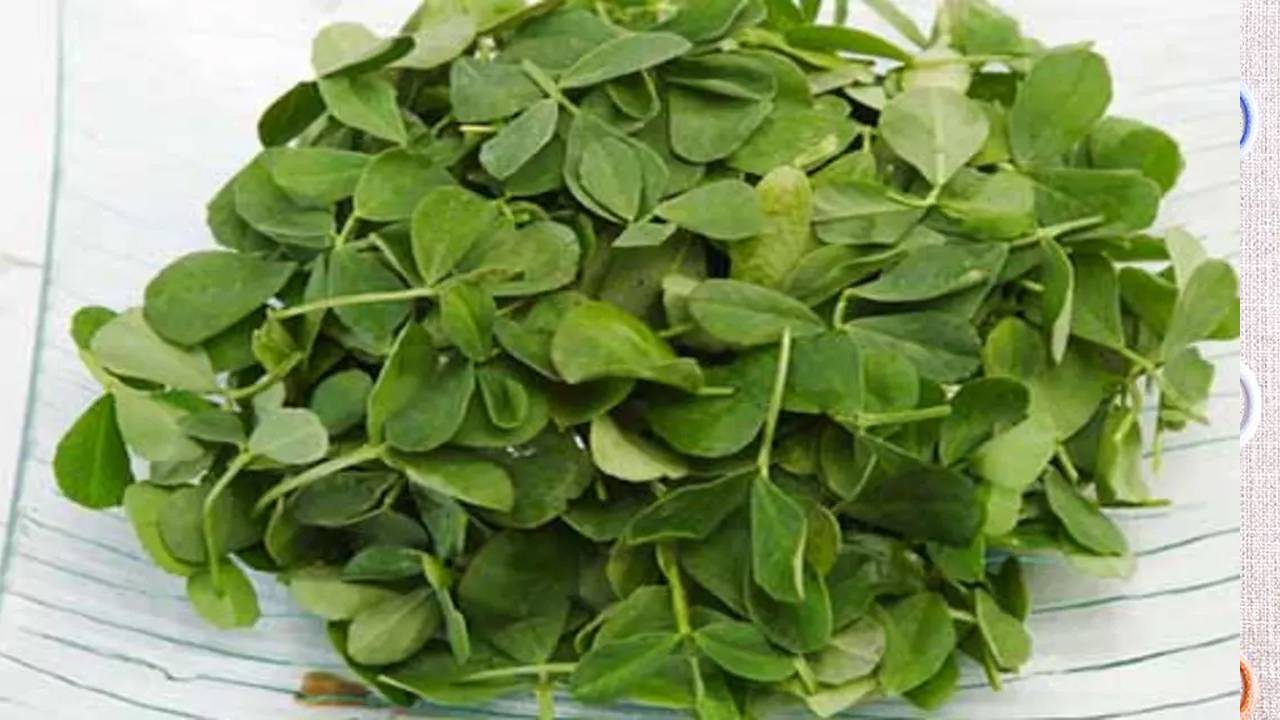 Benefits Of Methi Leaves: Fenugreek leaves are effective in reducing ...