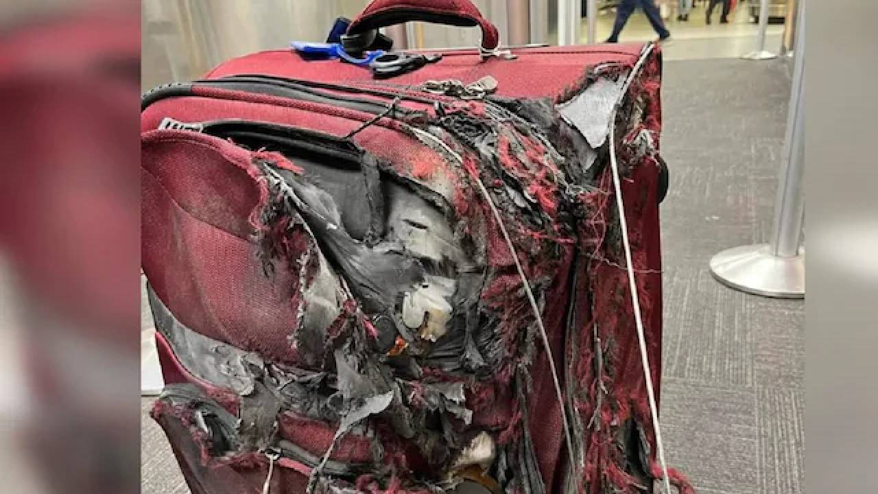 A viral picture shows a passenger’s suitcase which arrived completely ...