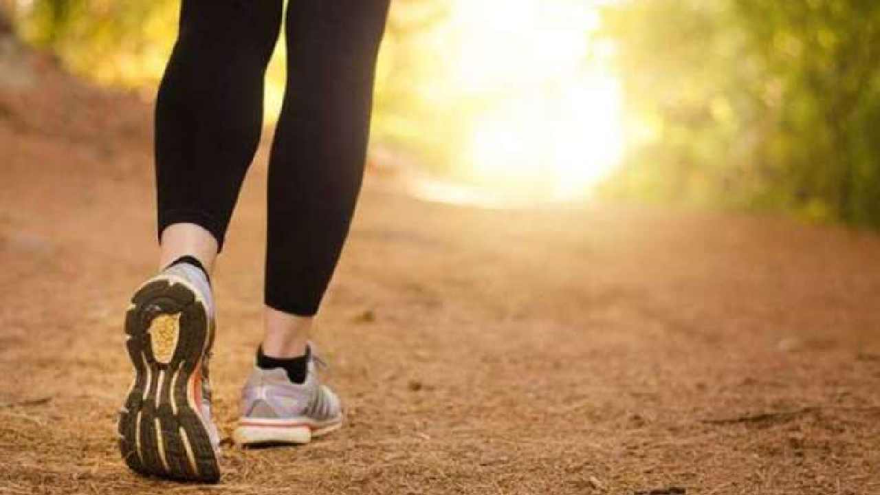 Reverse Walking: Does reverse walking strengthen the knees? Study will ...