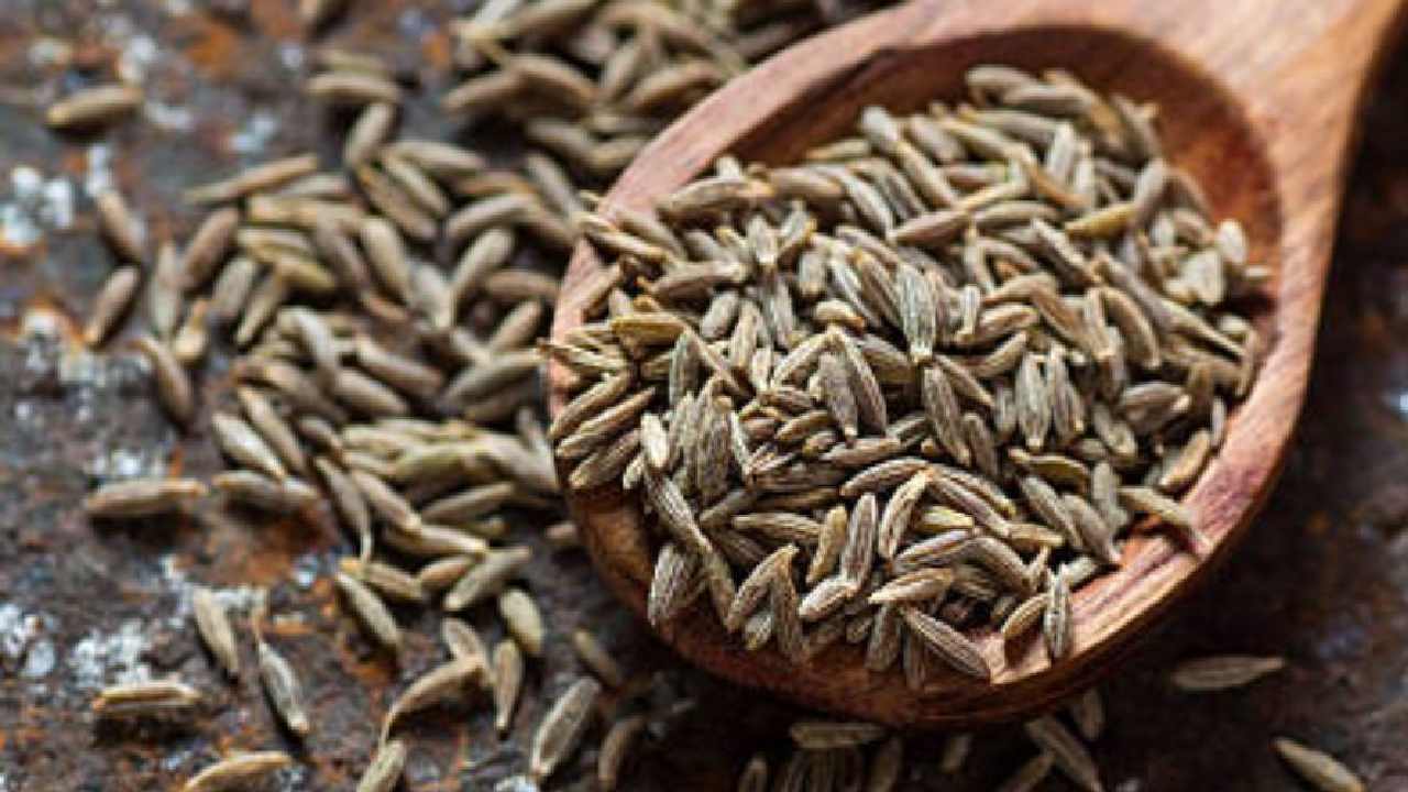 Cumin Seeds Never use too much cumin in cooking it can cause severe ...