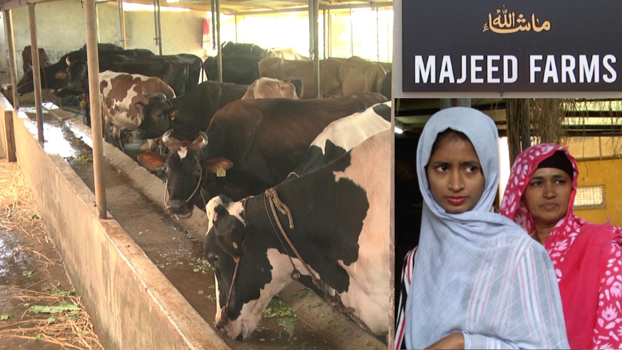 Muslim family rearing tens of cows for a poor girl wedding techie ...