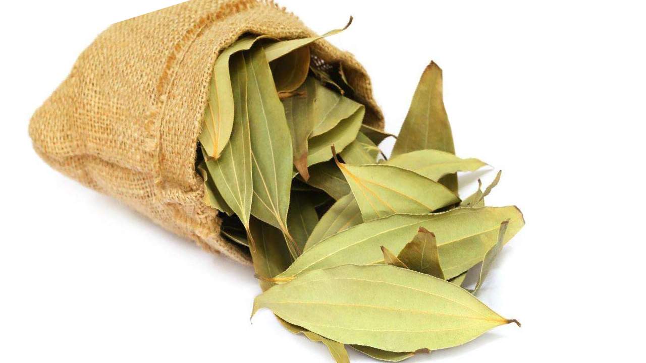 Health: Biryani leaves provide health benefits not only for cooking but ...