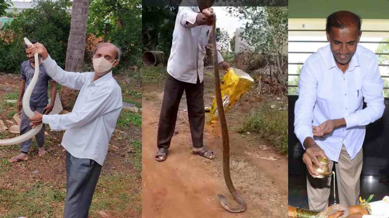 snake catcher mohini Dies In Road Accident Near bommasandra Bengaluru ...