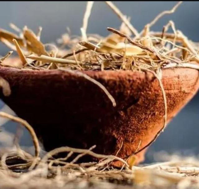 ಲಾವಂಚ ಬೇರಿನಿಂದ ಹಲವು ಉಪಯೋಗ: ಈ ಬೇರಿನಿಂದ ಏನೆಲ್ಲಾ ಮಾಡಬಹುದು ಗೊತ್ತಾ ? – TV9 ...