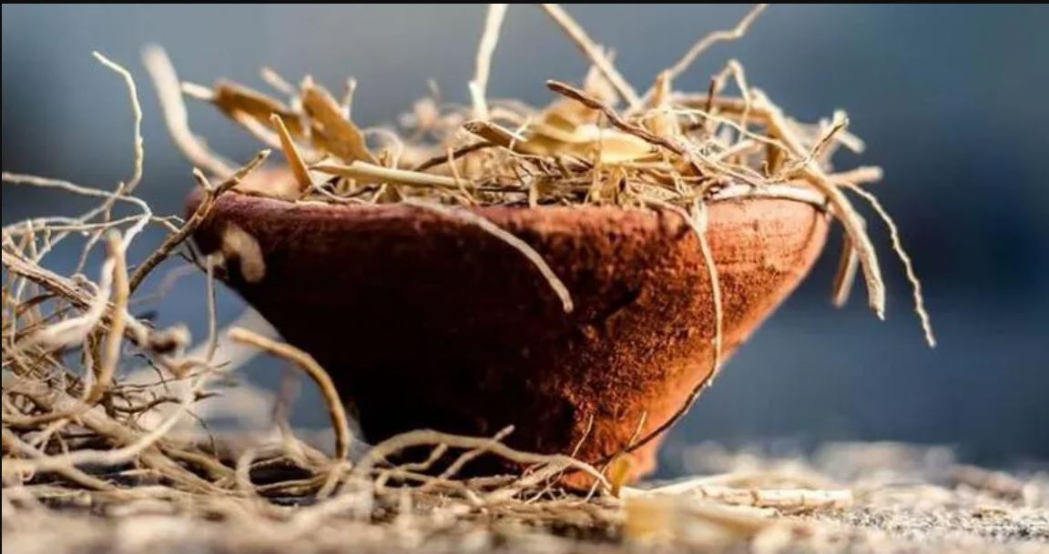 ಲಾವಂಚ ಬೇರಿನಿಂದ ಹಲವು ಉಪಯೋಗ: ಈ ಬೇರಿನಿಂದ ಏನೆಲ್ಲಾ ಮಾಡಬಹುದು ಗೊತ್ತಾ ? – TV9 ...